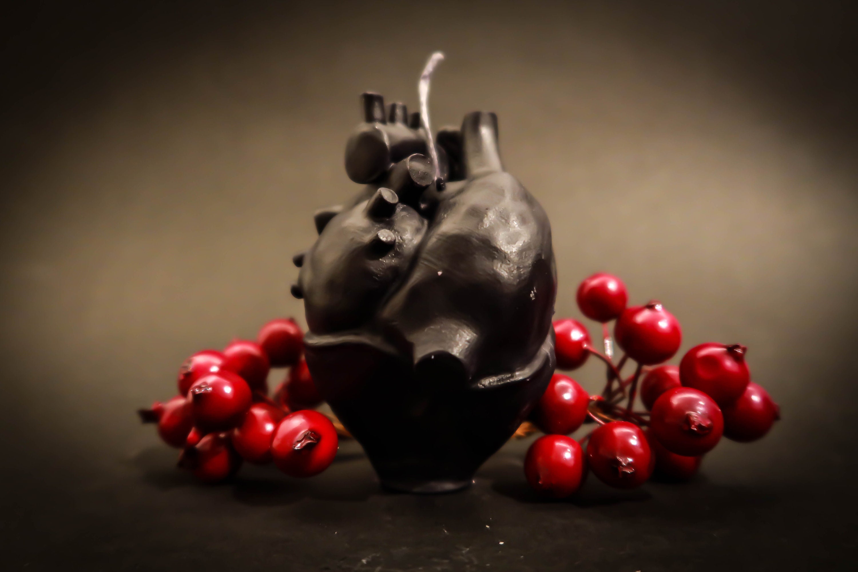 Heart Candle I Anatomical I Human Heart Candle I Body I Organ I Body ...