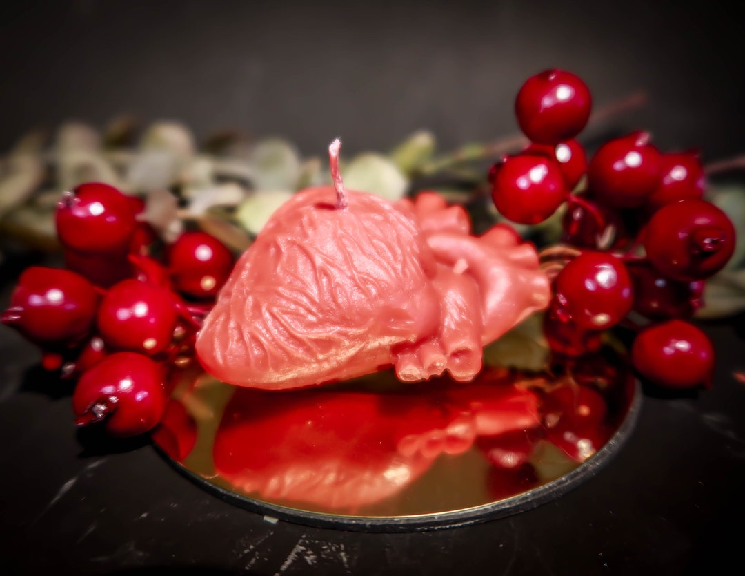 Mini Heart Candle I Anatomical I Body I Organ I Body Candle I Medical I ...