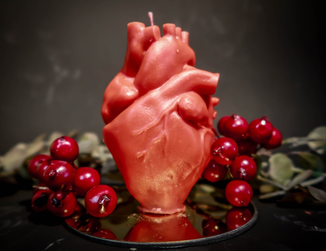 Anatomical Heart Candle: Soy Wax, Macabre Decor - Etsy