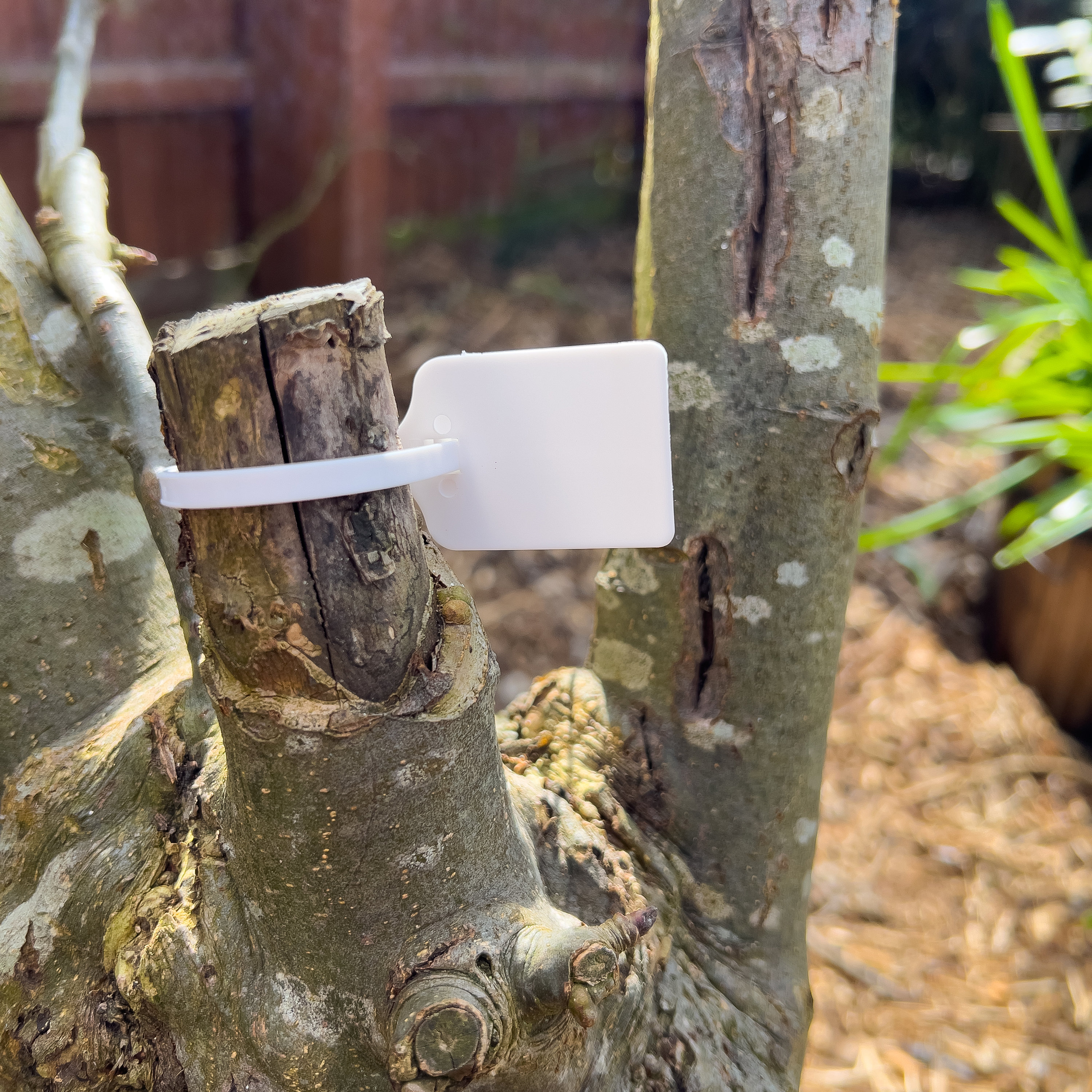 Cable Ties Heavy Duty Plastic Cable Tags With 50x70mm Large Labels ...