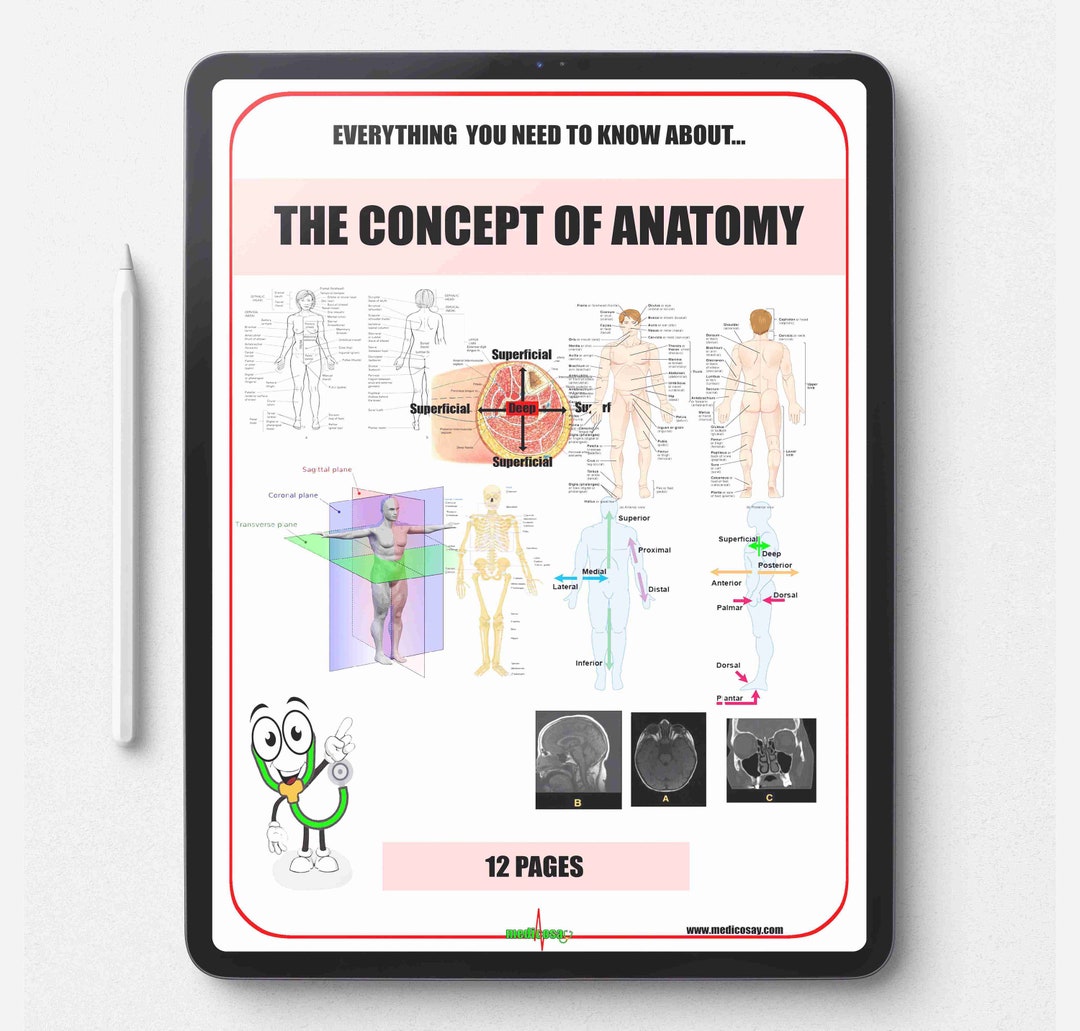 The Concept of Anatomy, Anatomy Notes for Medical Students - Etsy