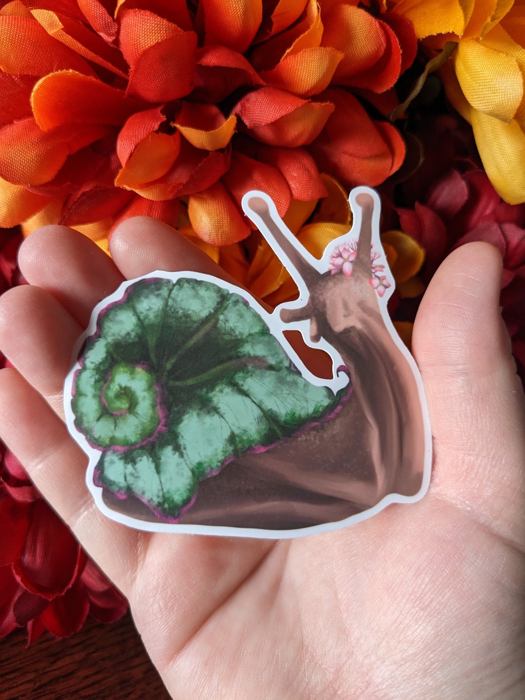 Escargot Begonia Snail Sticker | Water-resistant Vinyl Die Cut - Etsy
