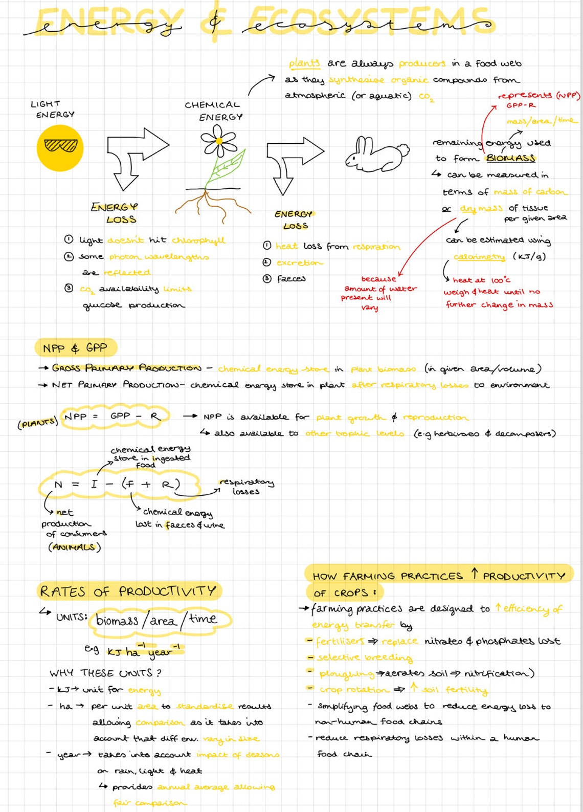 AQA Alevel Biology A Notes - Etsy