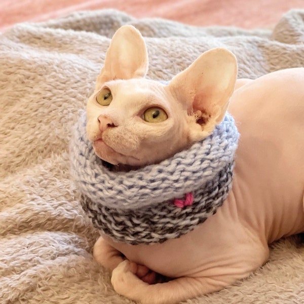 Sphynx Cat - Etsy