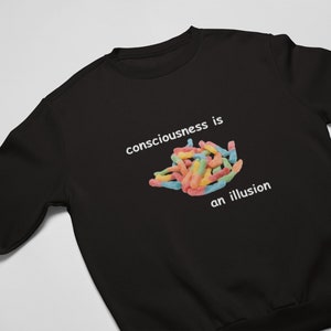Consciousness is an Illusion Shirt, Meme Shirt, Funny Shirt, Meme ...