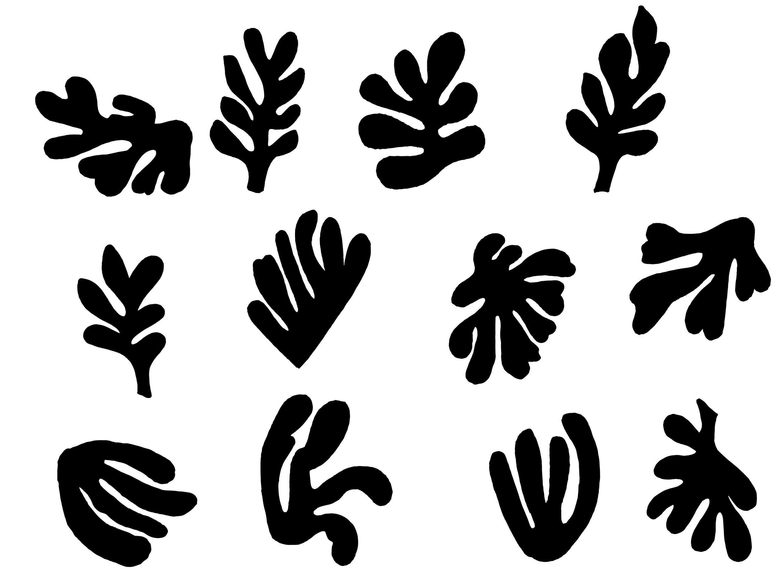 Matisse SVG Bundle, Abstract Shapes, Flowers and Trees, Modern Art SVG ...