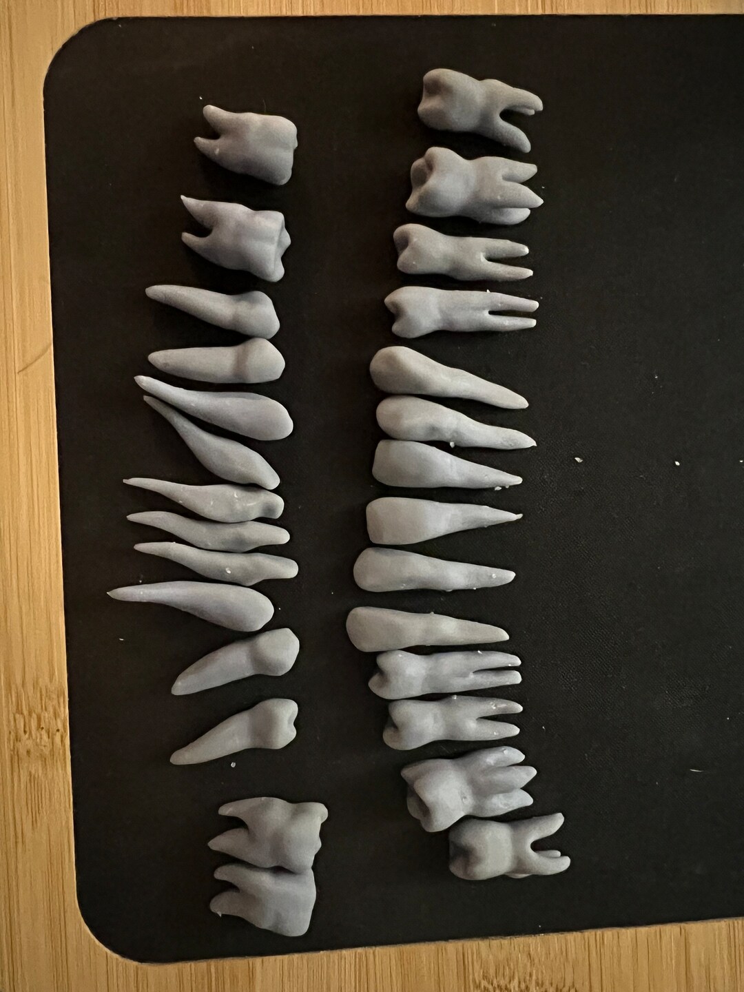 3d Printed Human Teeth - Etsy