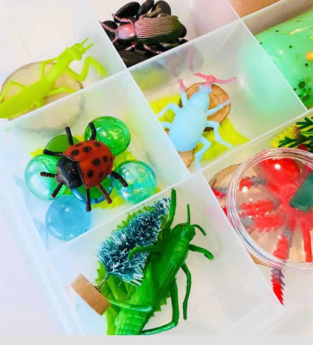 Bugs Play Dough Sensory Kit - Etsy