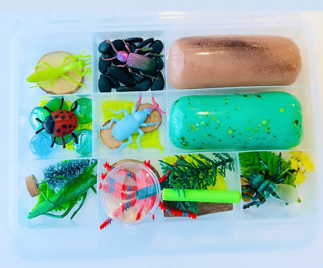 Bugs Play Dough Sensory Kit - Etsy