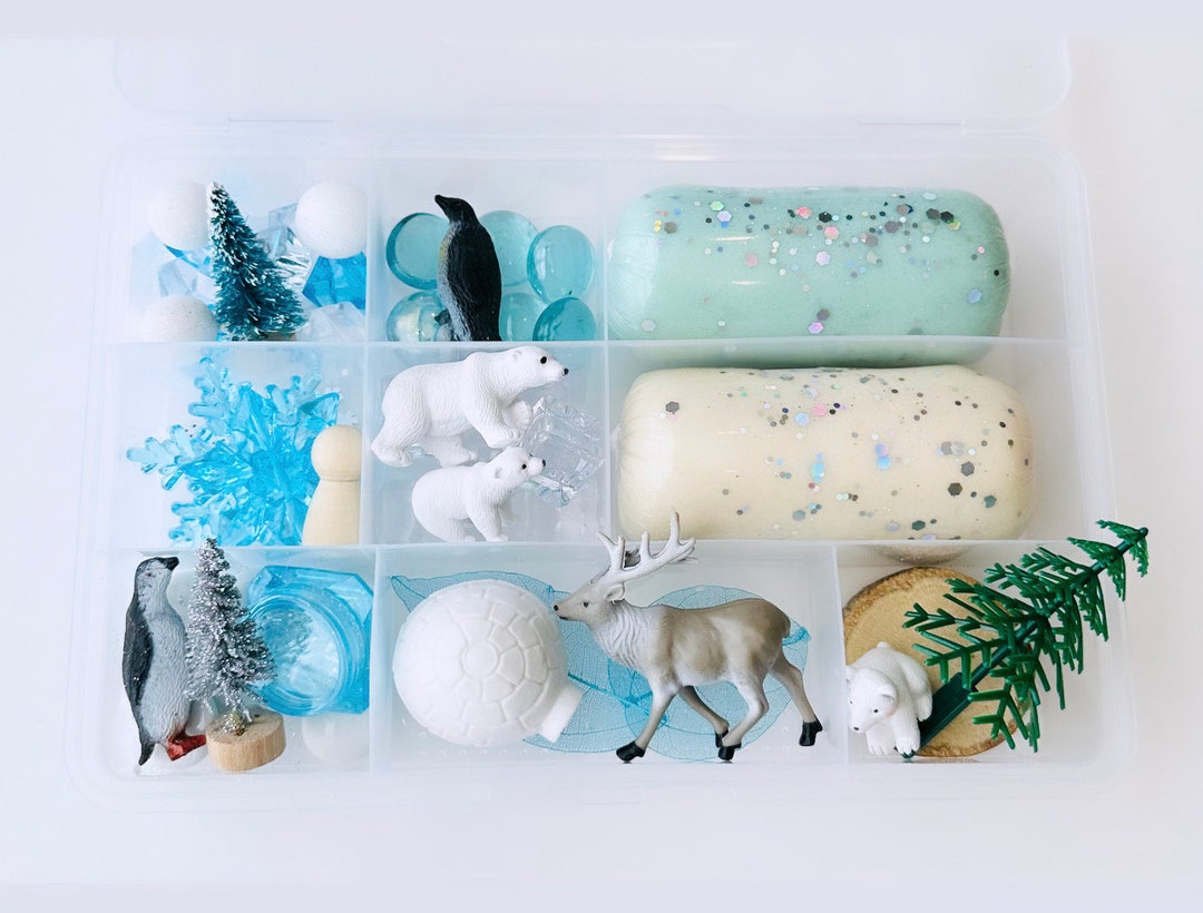 Artic Play Dough Kit - Etsy