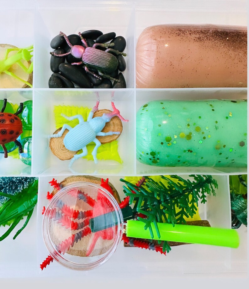 Bugs Play Dough Sensory Kit - Etsy