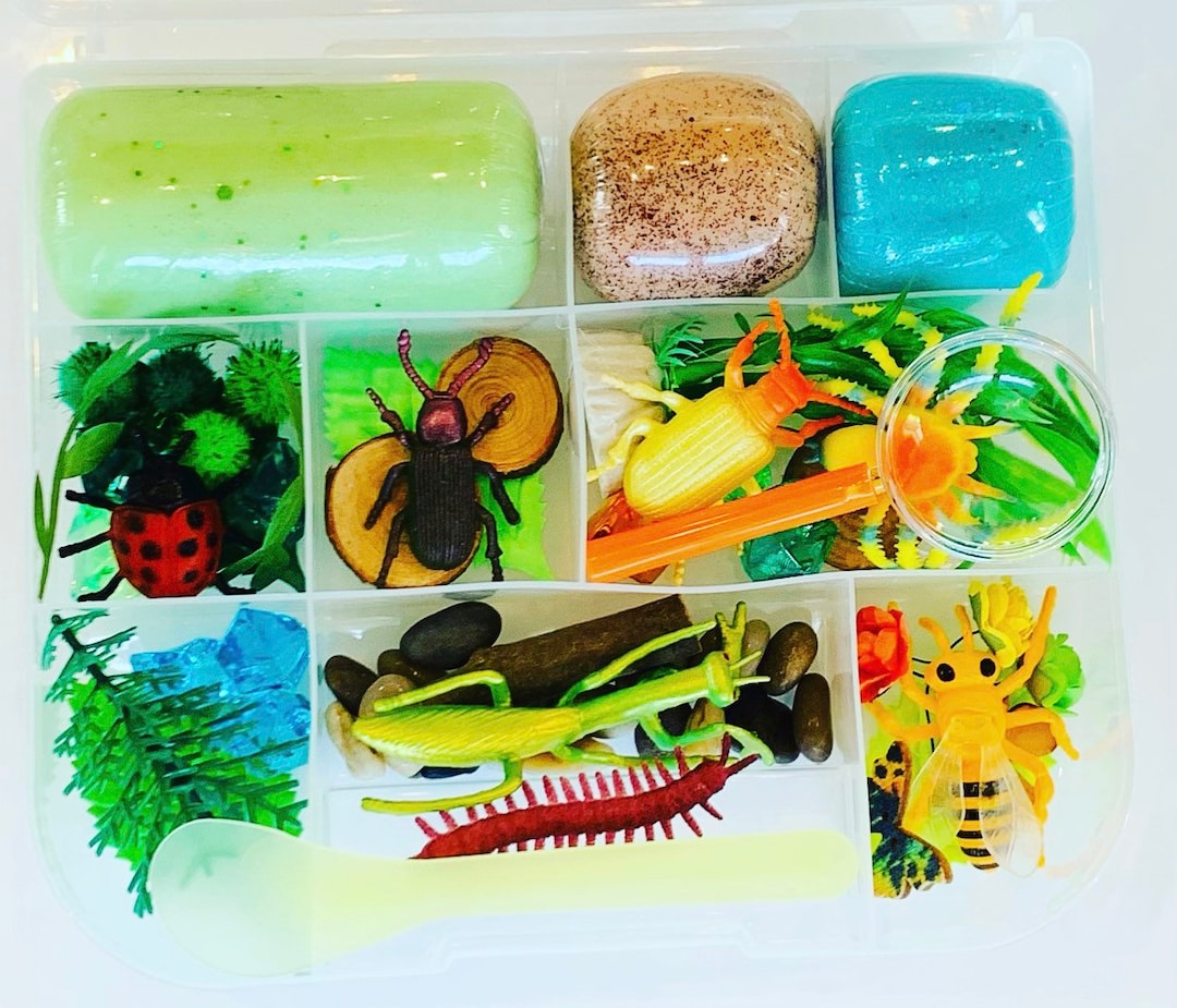 Bugs Play Dough Sensory Kit - Etsy