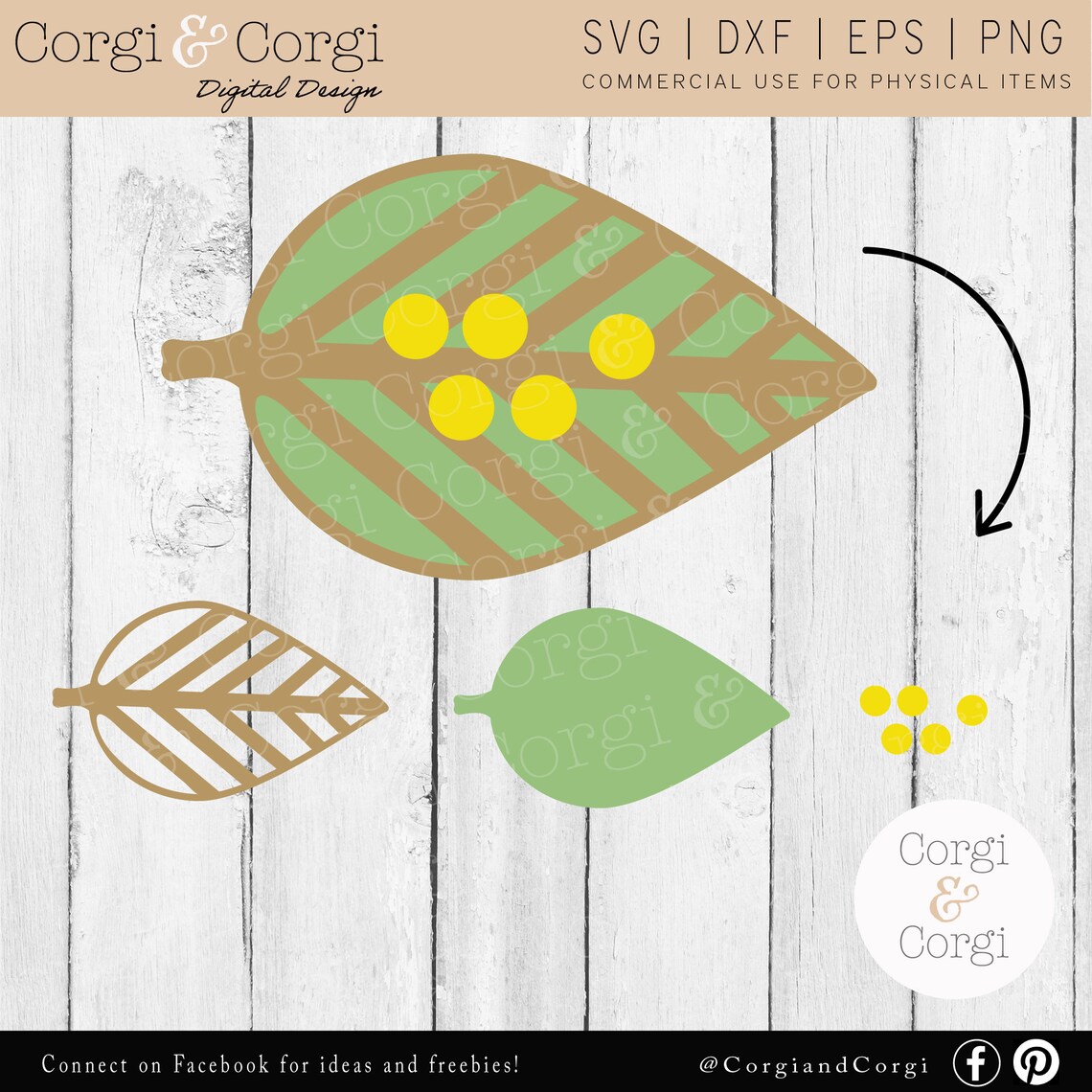 Butterfly Life Cycle Svg- Instant Digital Download - Eggs, Caterpillar ...
