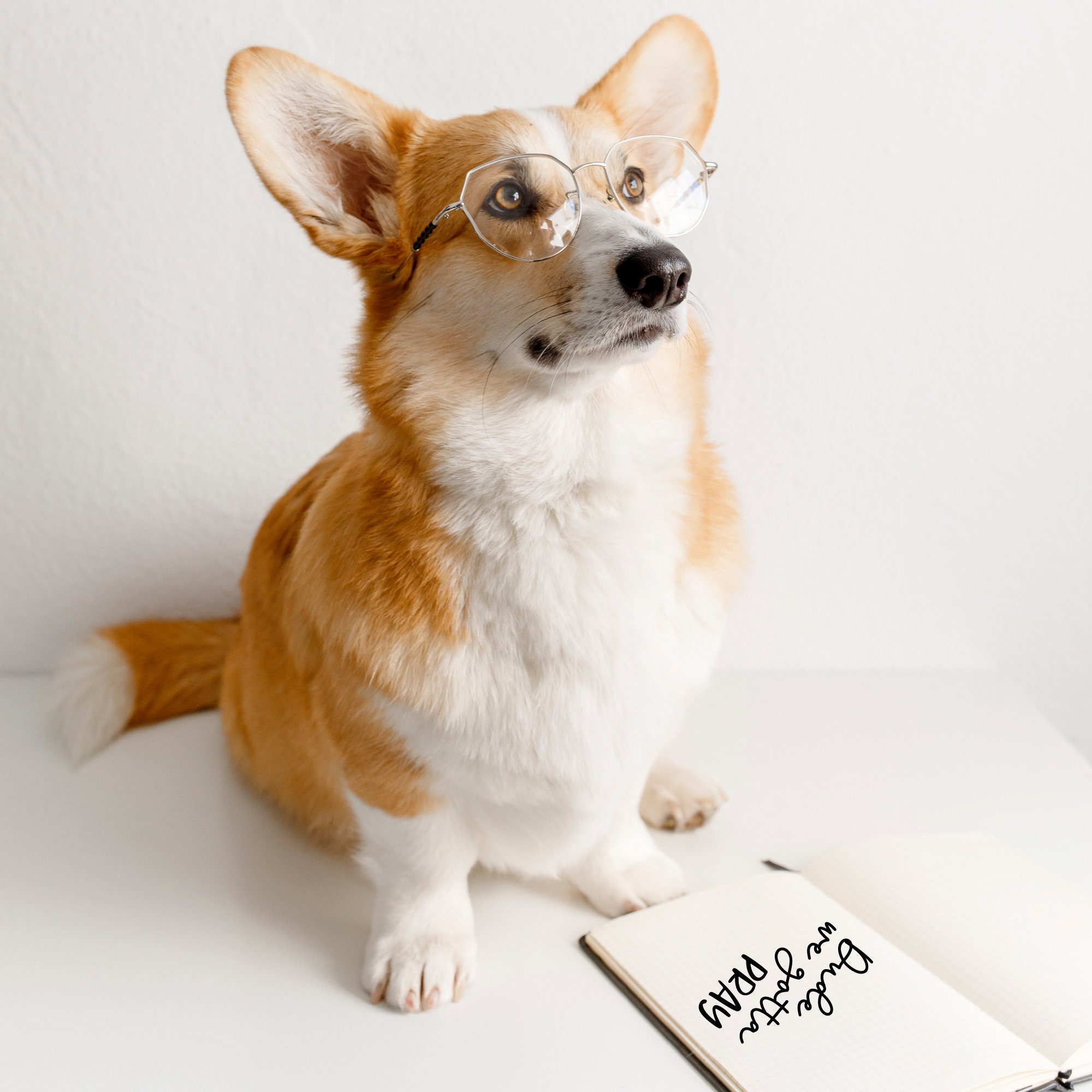 Dude We Gotta Pray Svg Clipart Instant Digital Download DXF PNG EPS Cut ...