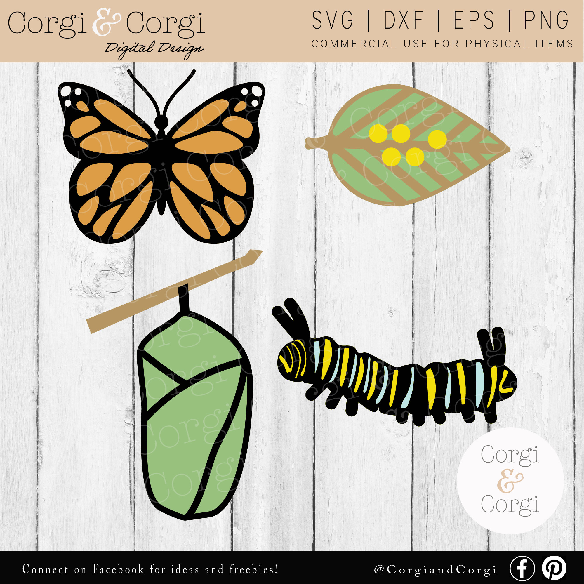 Butterfly Life Cycle Svg- Instant Digital Download - Eggs, Caterpillar ...