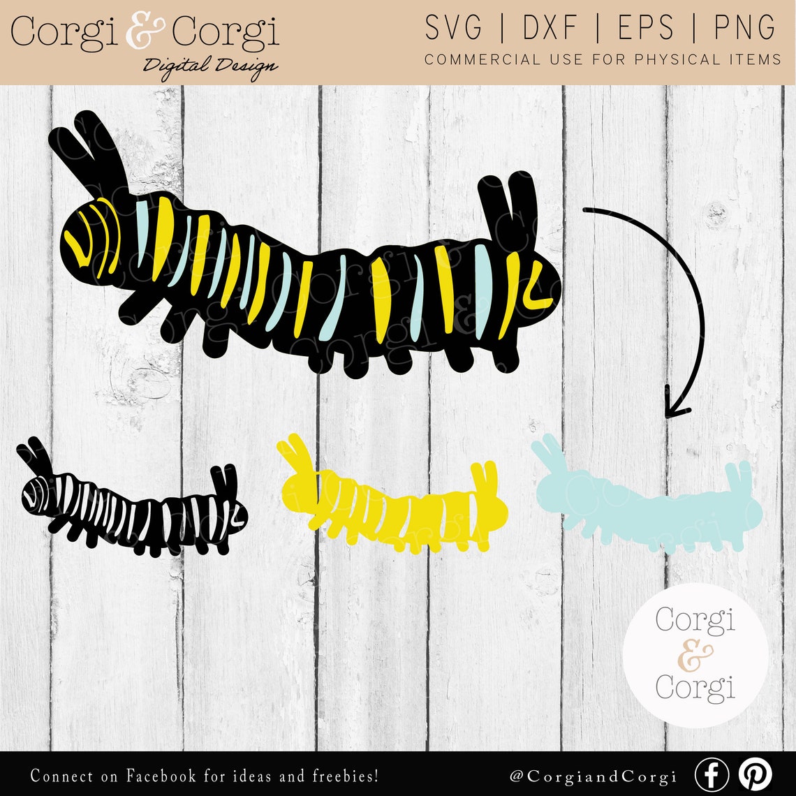 Butterfly Life Cycle Svg- Instant Digital Download - Eggs, Caterpillar ...