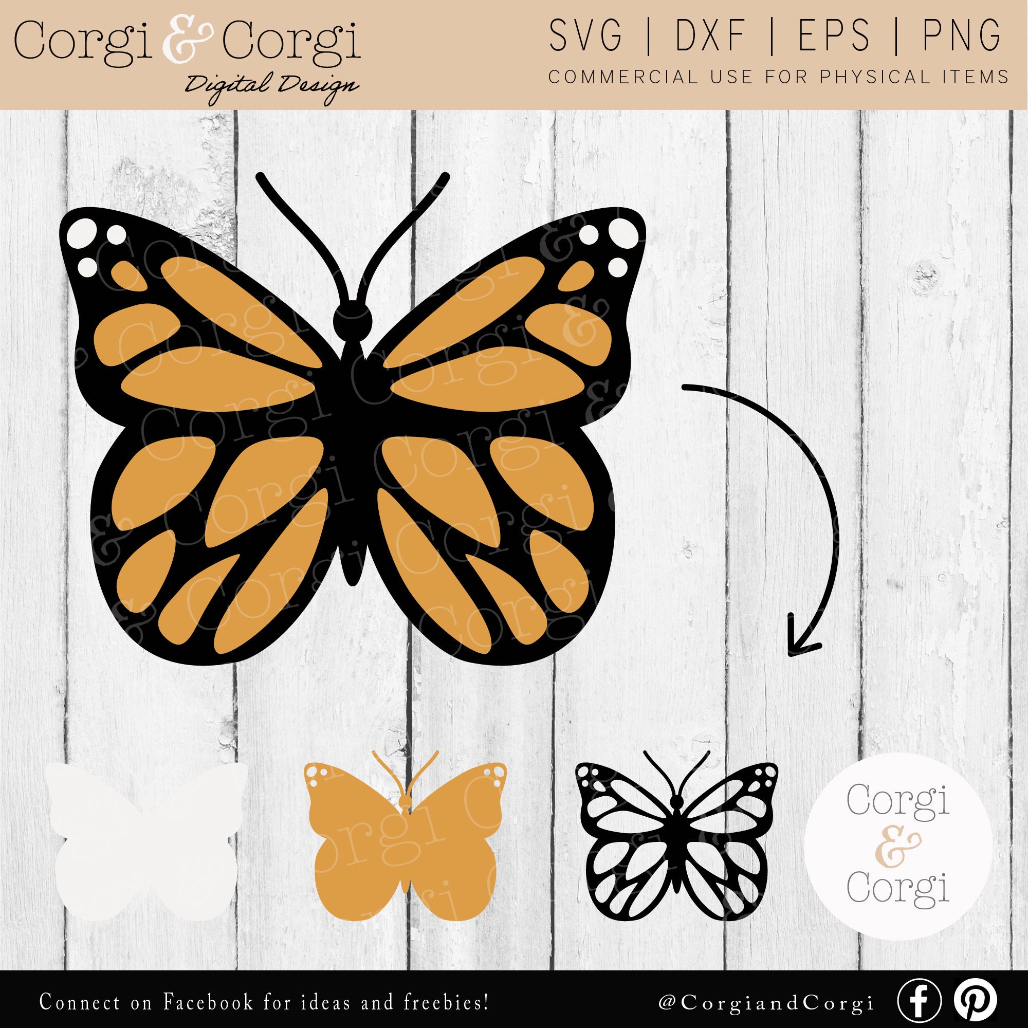 Butterfly Life Cycle Svg- Instant Digital Download - Eggs, Caterpillar ...