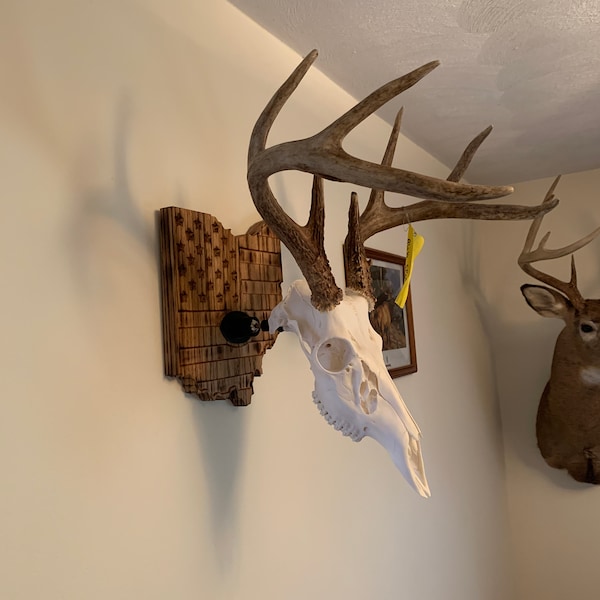 European Mount - Etsy