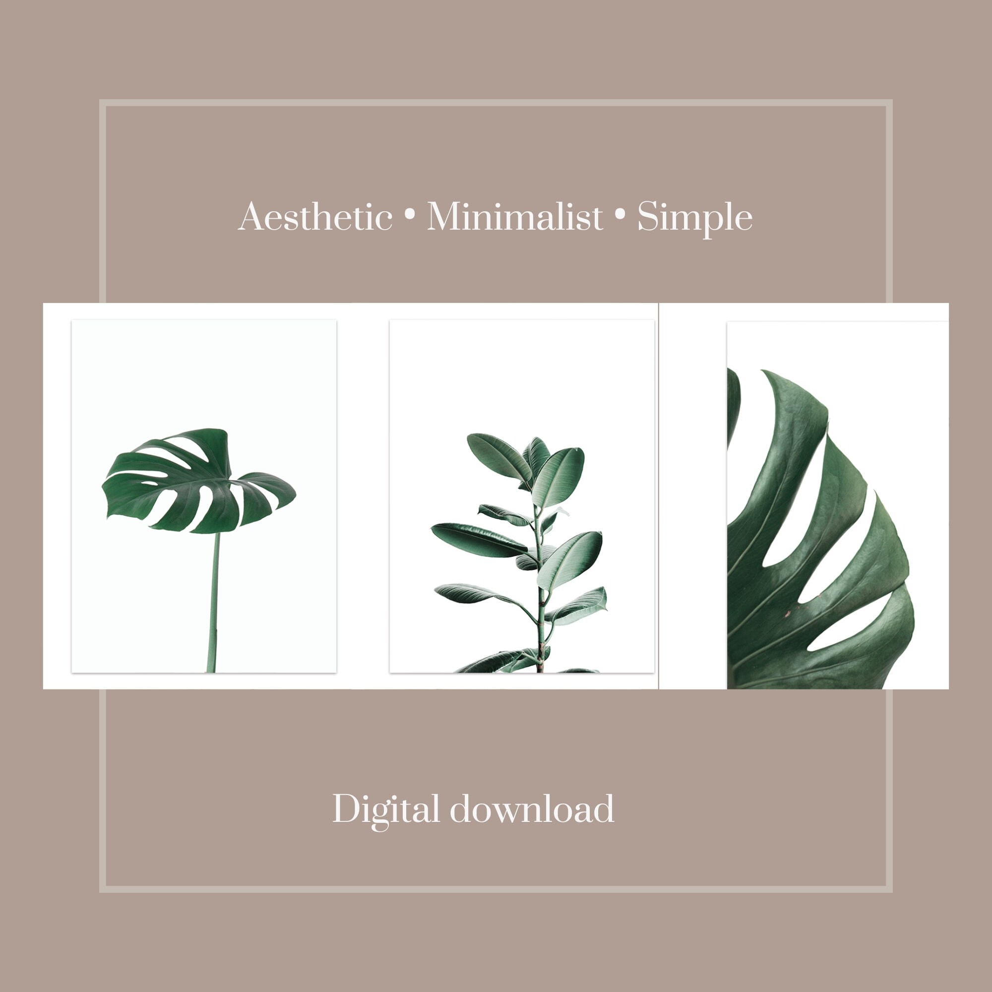 Tropical Plants Poster Green Leaves Canvas Print - Etsy