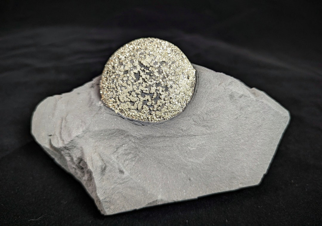 Rare Pyrite Concretion in Shale Matrix - Etsy