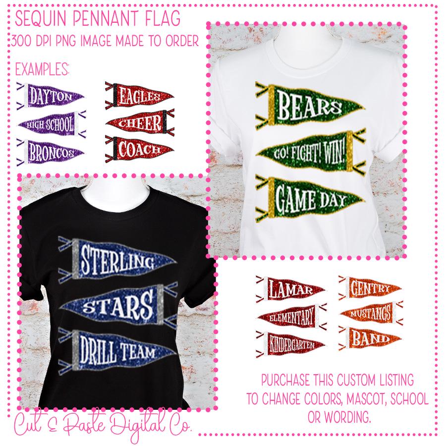 Custom Pennant Flag, Faux Sequin PNG: Your School/team/name/colors - Etsy