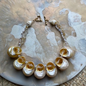 Turbo Shell Necklace. Big Shell Necklace Chunky Shell - Etsy