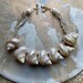 Turbo Shell Necklace. Big Shell Necklace Chunky Shell - Etsy
