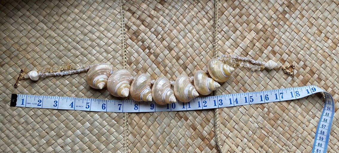 Turbo Shell Necklace. Big Shell Necklace Chunky Shell - Etsy