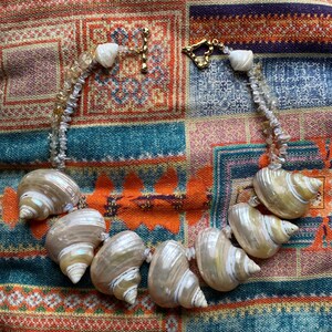 Turbo Shell Necklace. Big Shell Necklace Chunky Shell - Etsy