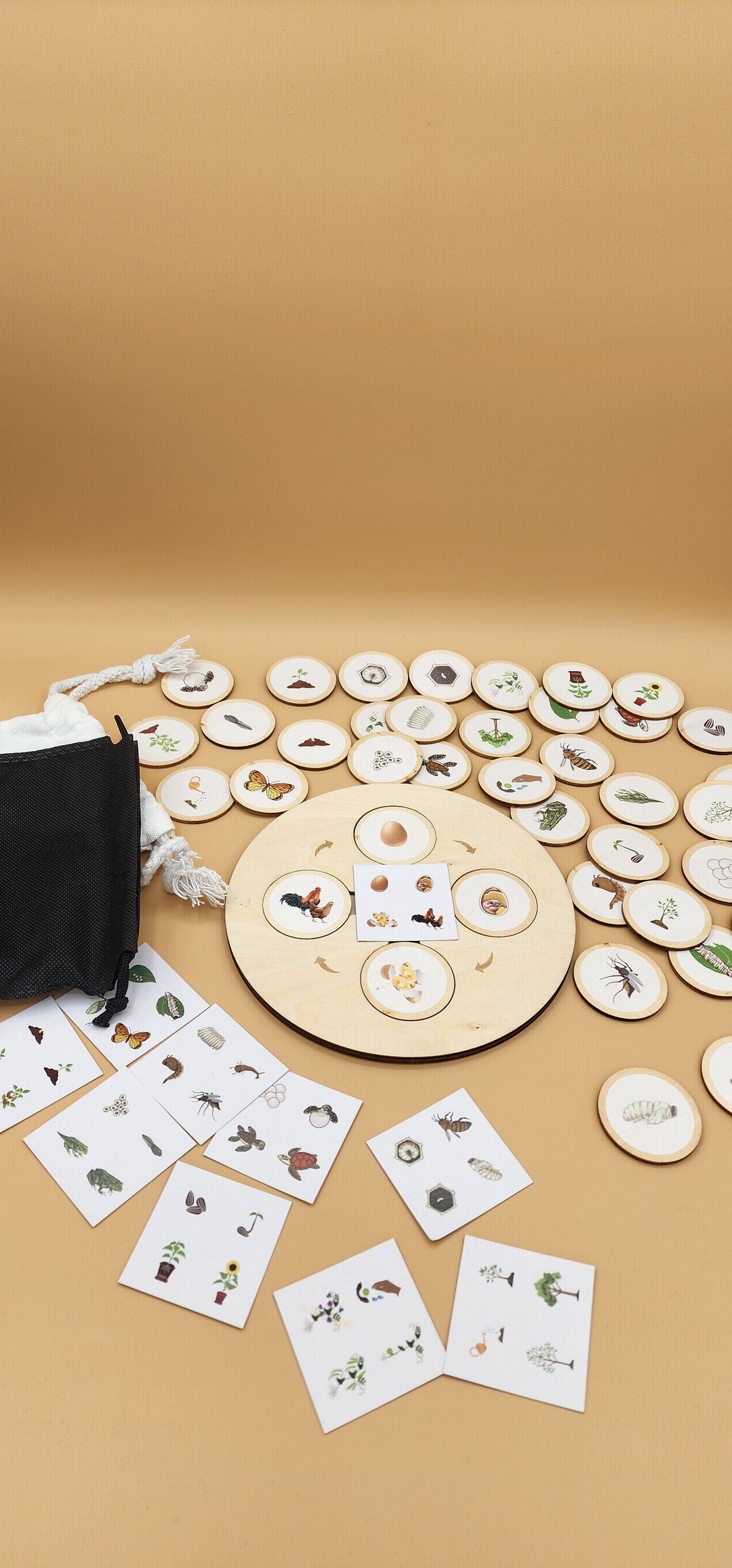 Montessori Wooden Life Cycle Board Montessori Inspired Educational and ...