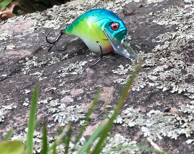 Custom Painted Green and Blue Lightning Shad Shallow Diving Crankbait ...
