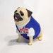 Customer Service Pug Fancy Furries Figurines Adorable Animal ...