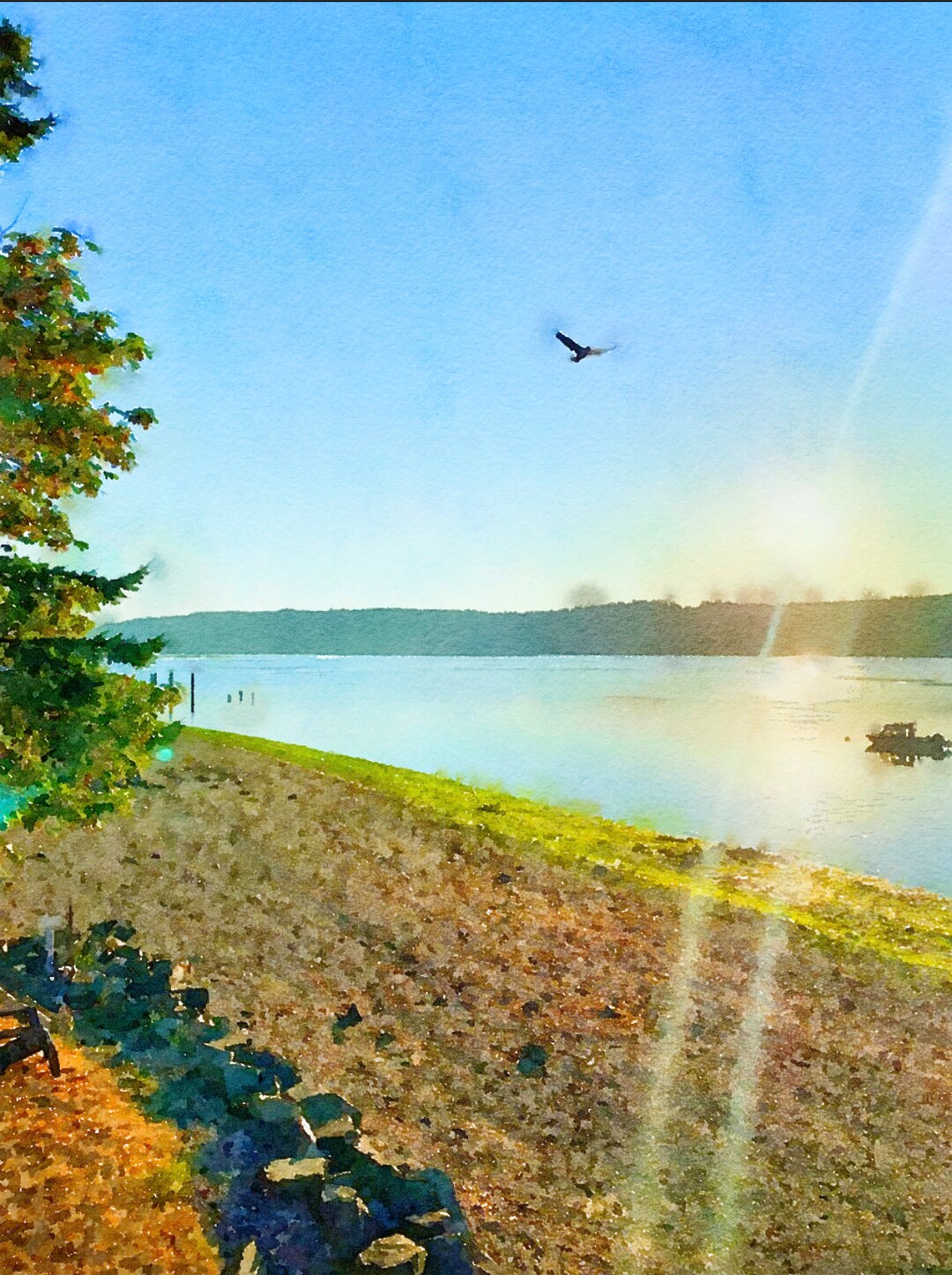 Rise And Shine Ollala Bay Gig Harbor Washington State Etsy