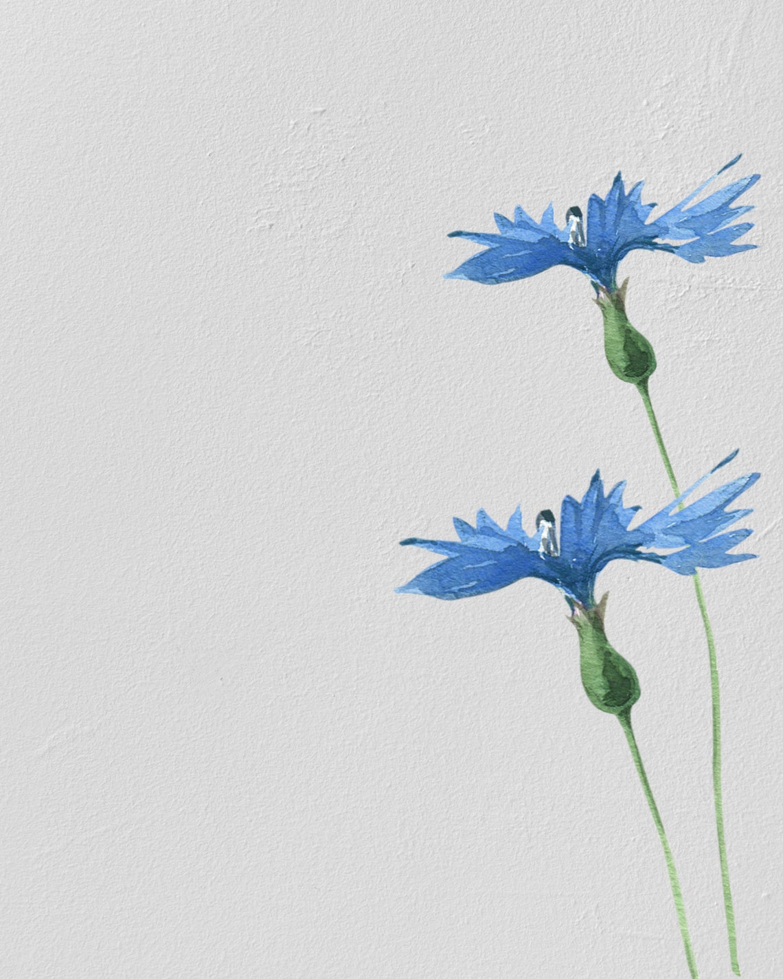 Floral Art Print - Etsy