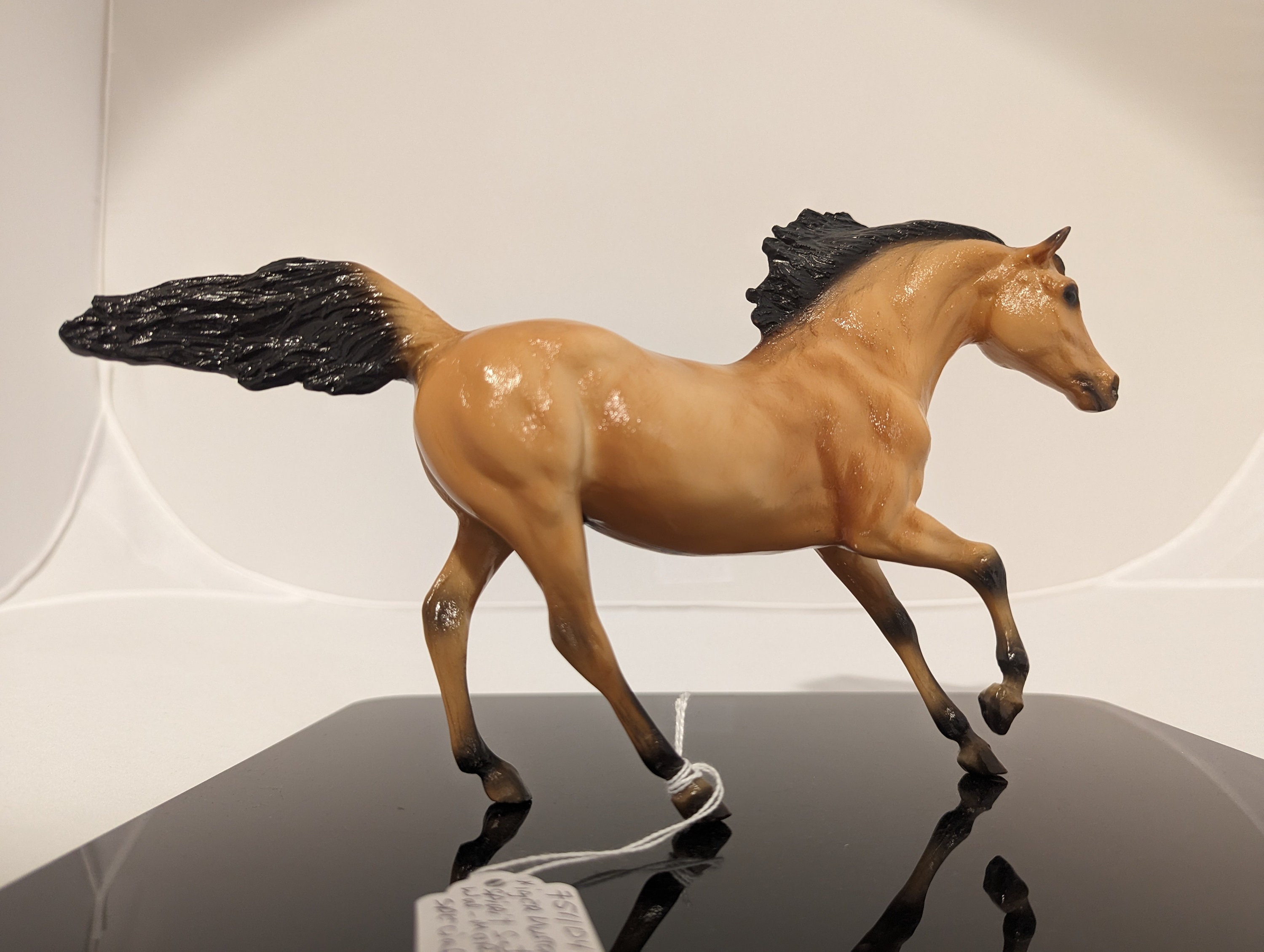 Buckskin Horses Rearing