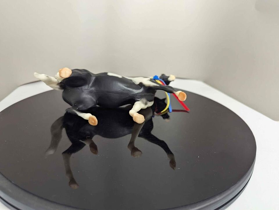 Breyer Classic Scale Model Black Jack From the B Ranch Series on Kelso ...