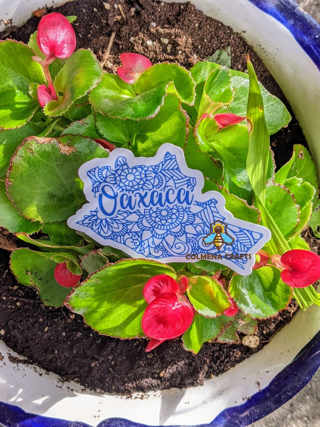 Oaxaca Laminated Sticker, Latino Stickers, Laptop Sticker, Mexican ...