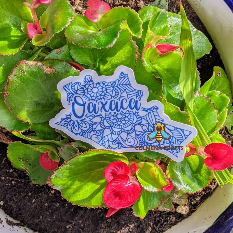 Oaxaca - Etsy