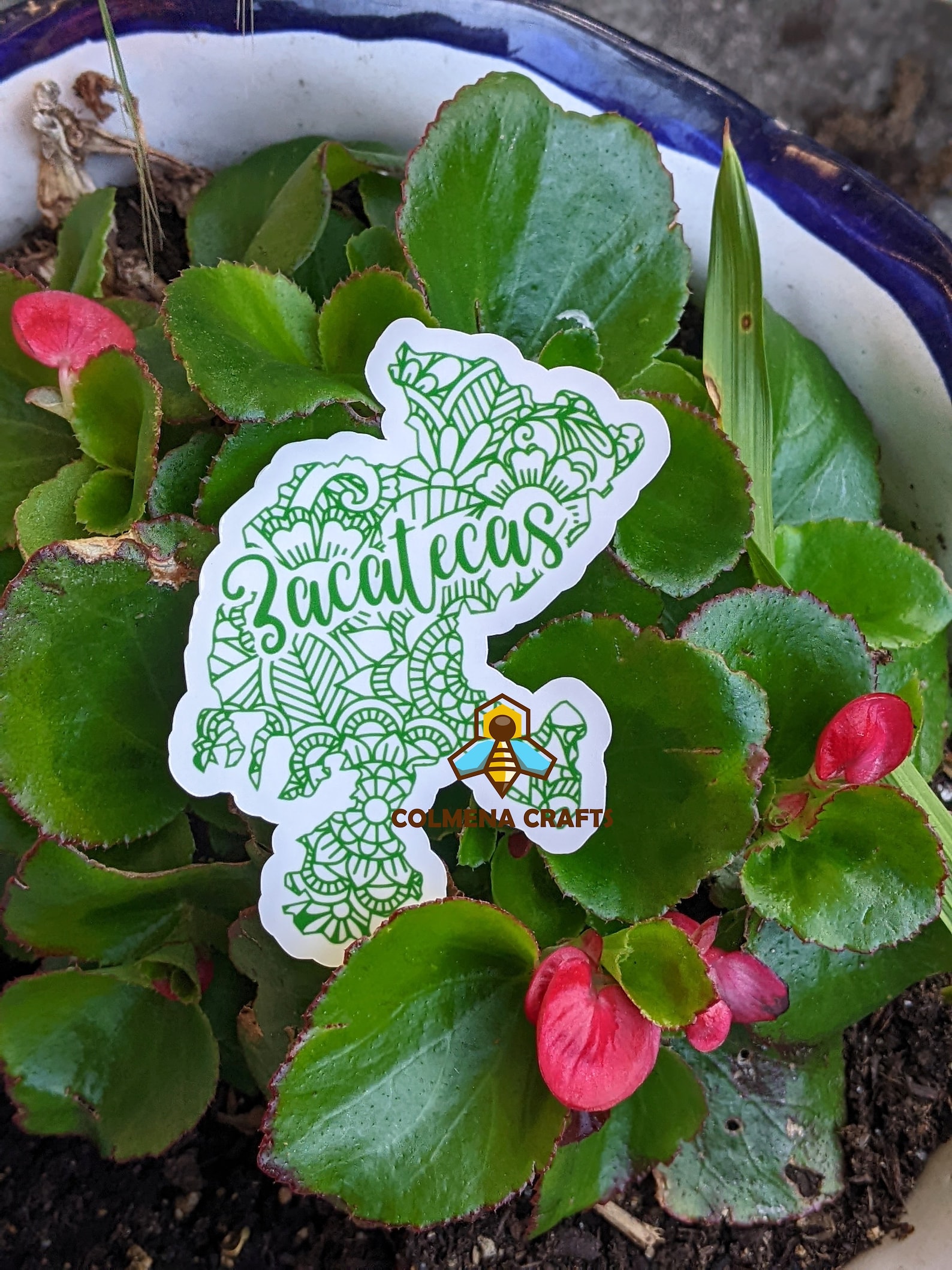 States of Mexico Laminated Sticker, Latino Stickers, Laptop Sticker, - Etsy