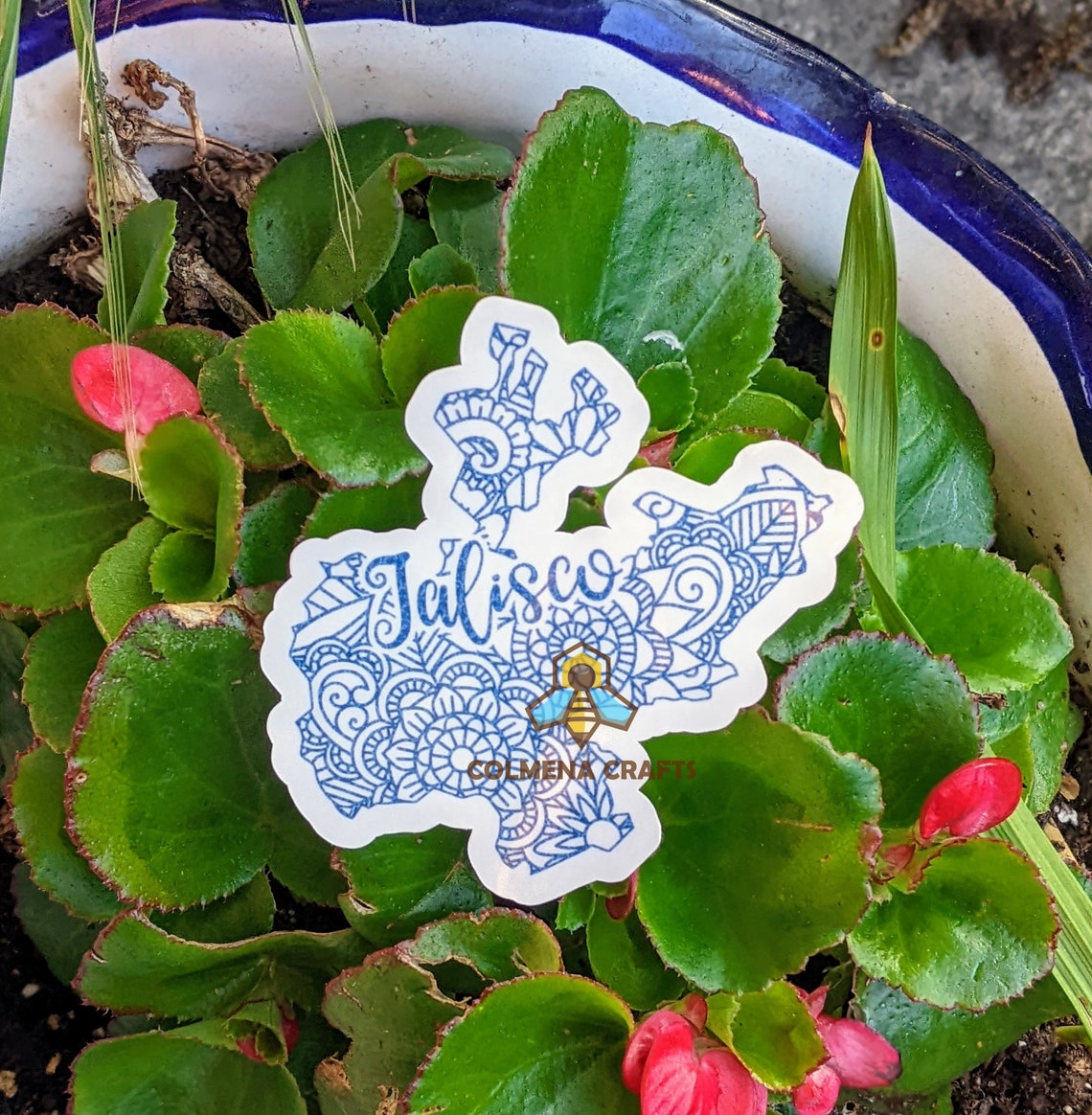 States of Mexico Laminated Sticker Latino Stickers Laptop - Etsy