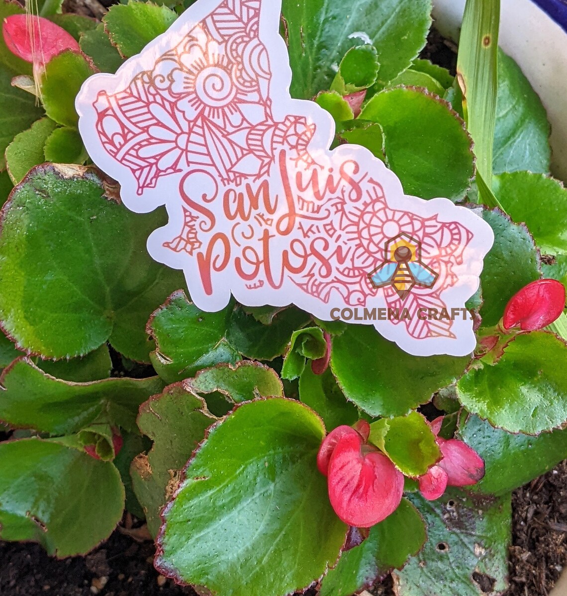 States of Mexico Laminated Sticker Latino Stickers Laptop - Etsy