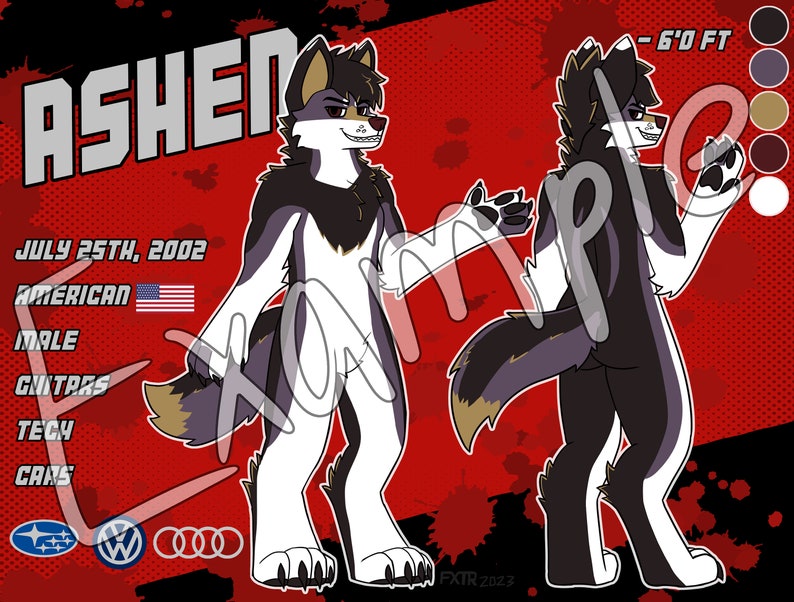 Female Wolf Fursona Reference Sheet Base PNG File - Etsy