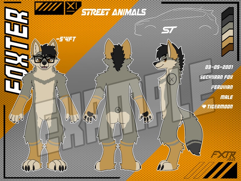3 SIDED Male Fox Reference Sheet Base PNG File - Etsy