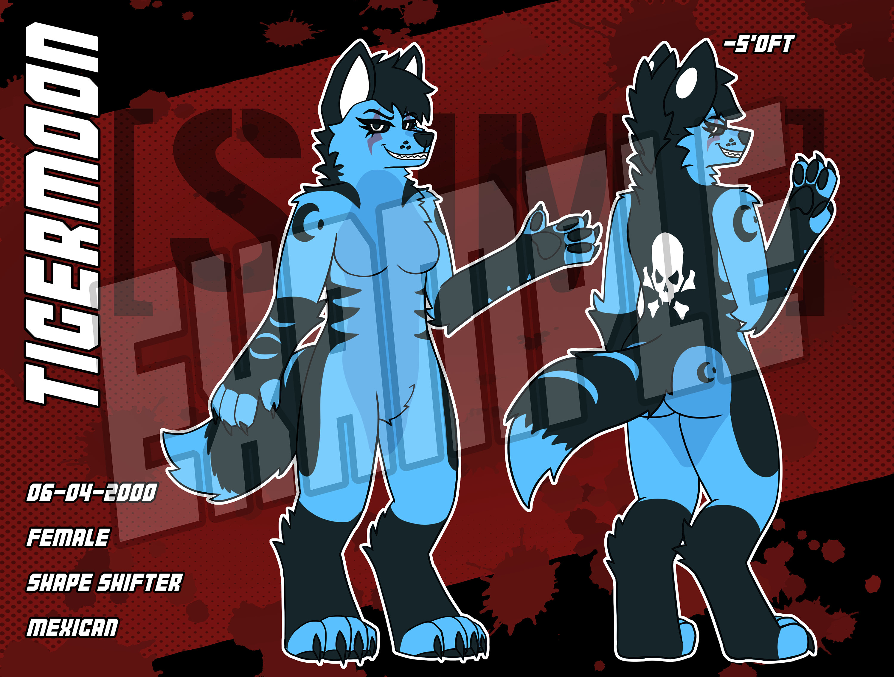 Female Wolf Reference Sheet Base (PNG File) - Etsy