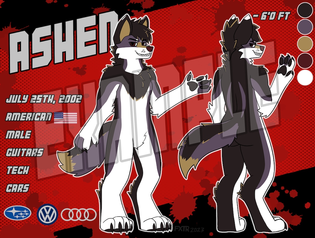 Male Wolf Reference Sheet Base (PNG File) - Etsy