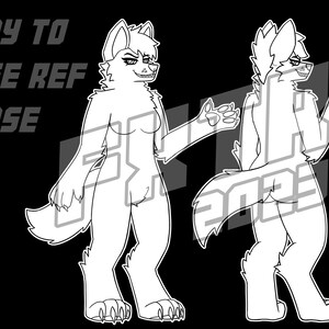 Female Wolf Reference Sheet Base (PNG File) - Etsy