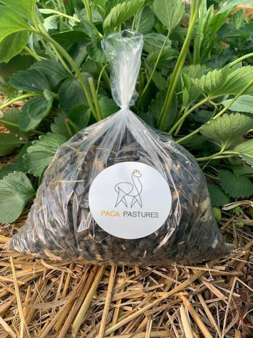 3lbs Alpaca Manure, Soil Amendment, Garden Fertilizer, Ships Free - Etsy