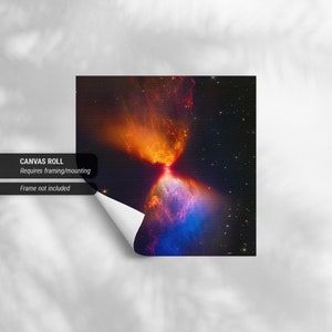 NASA L1527 and Protostar Canvas/poster Art, Space Posters, James Webb ...