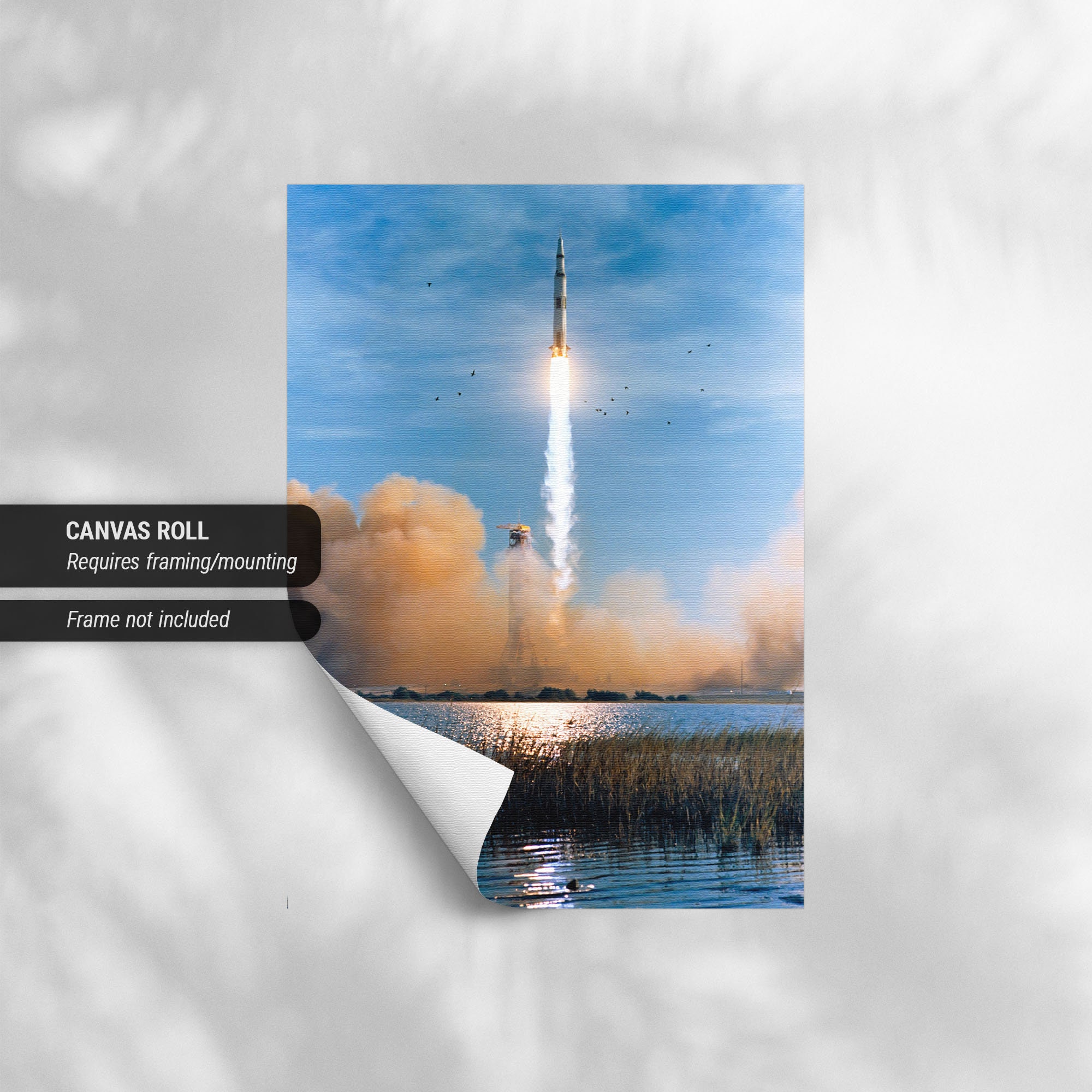 Apollo Project Nasa Cev