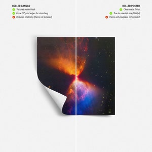 NASA L1527 and Protostar Canvas/poster Art, Space Posters, James Webb ...